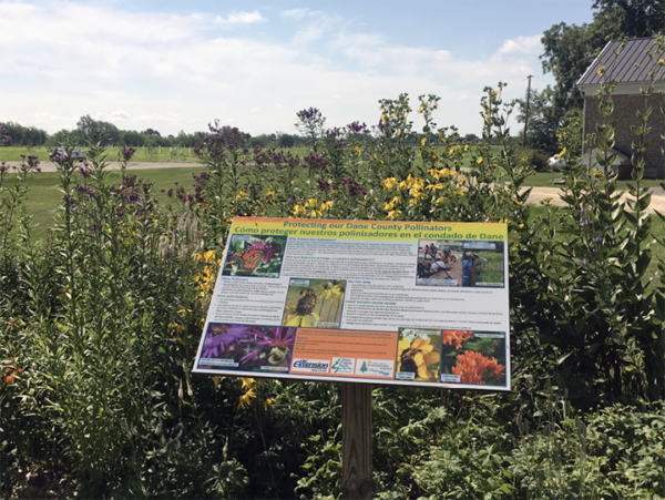 New at the Park: Monarch Waystation Designation for Pollinator Gardens ...